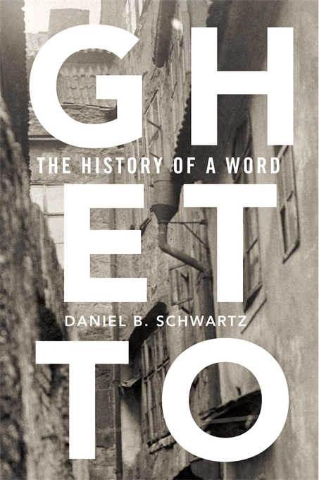 How American Segregation Changed the Meaning of 'Ghetto'