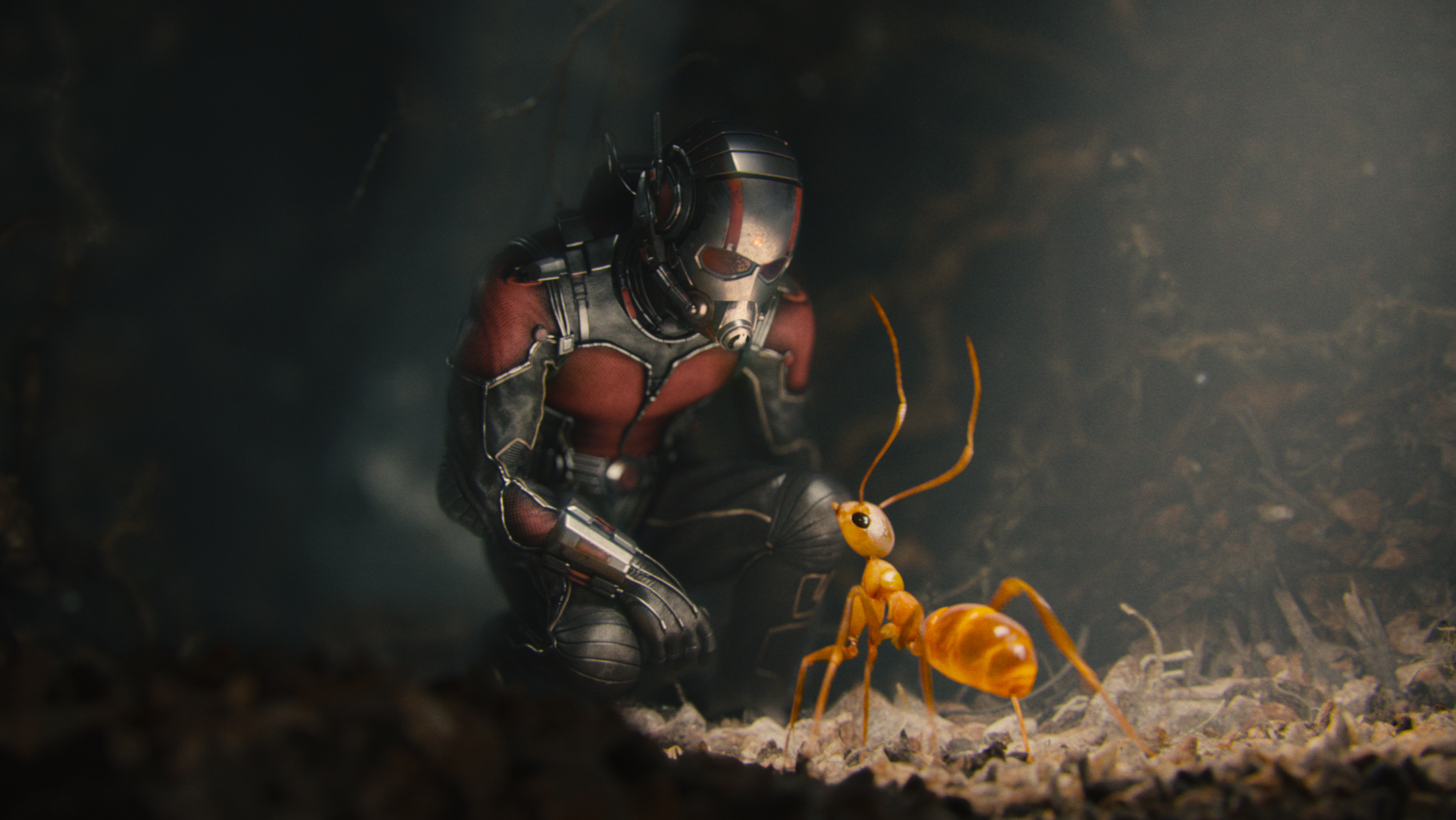 Ant Man: There is Some Real Science Behind the Film