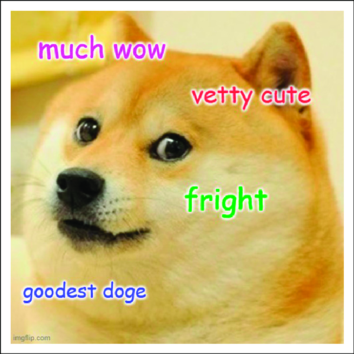 R.I.P. ‘Doge’: Viral Shiba Inu Dies