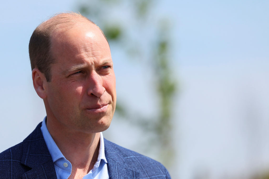Royal Report Shows Prince William's Multi-Million Earnings