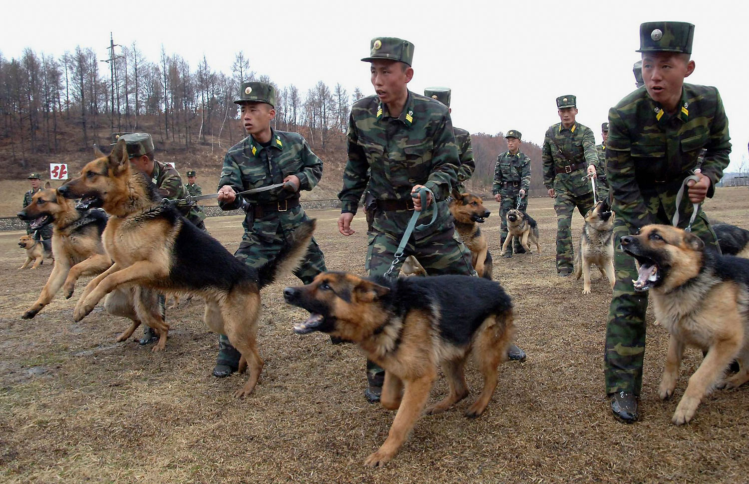 North Korea: Did Kim Jong Un Feed His Uncle to the Dogs?