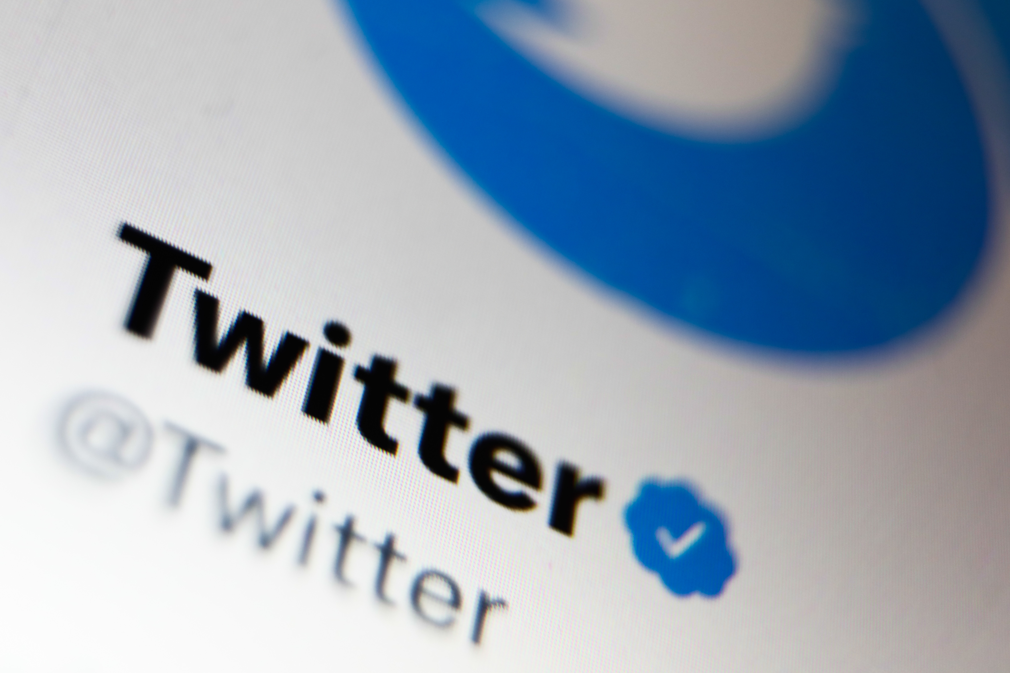 Twitter Blue Launch Floods Platform With Fake Accounts