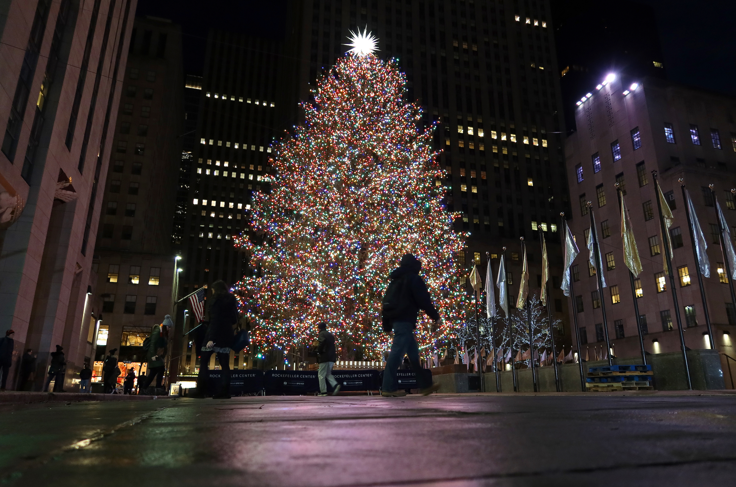 The Real History of Christmas Trees