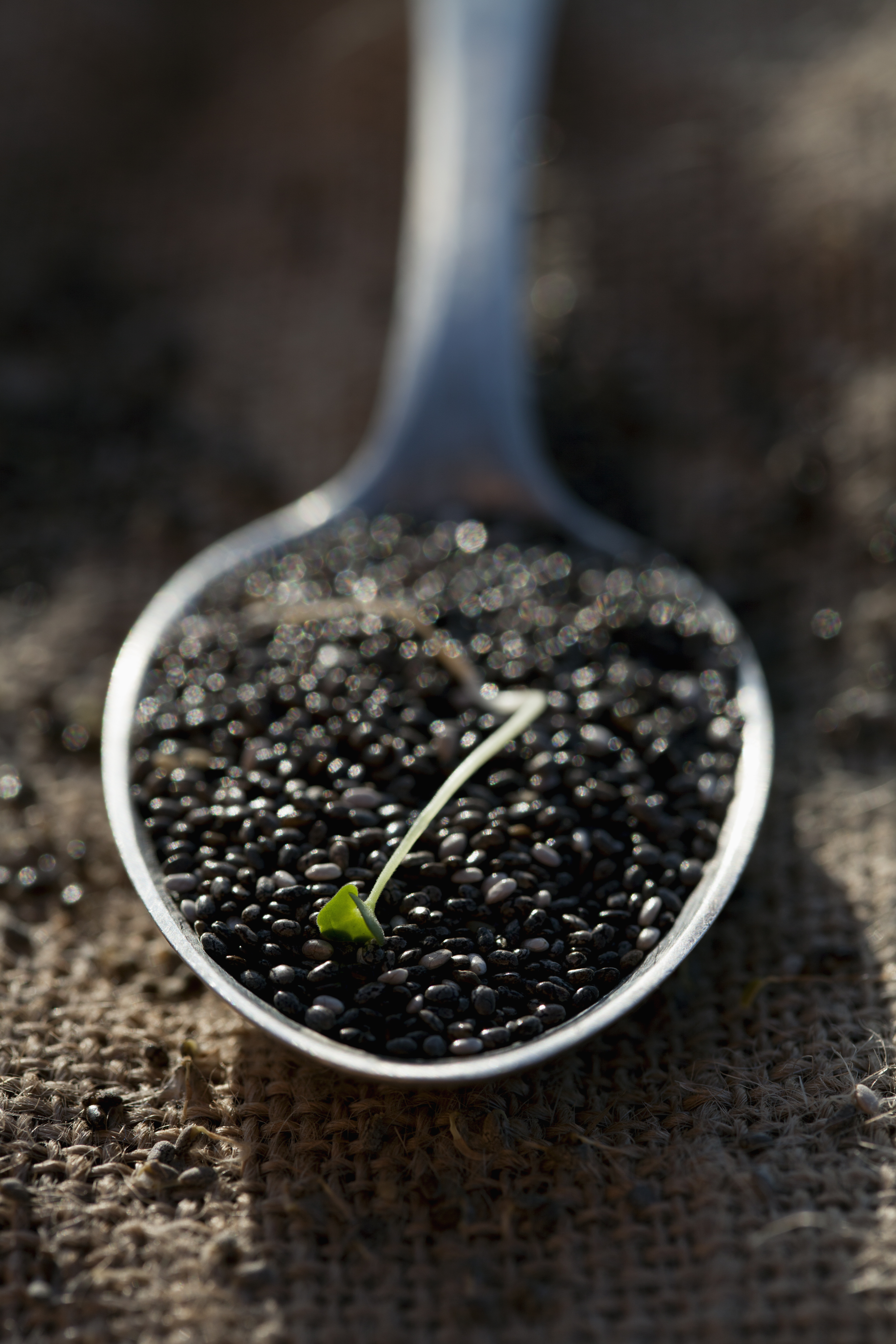 Edible Seeds: Chia, Hemp, Flax, Pumpkin, Sesame, Nigella