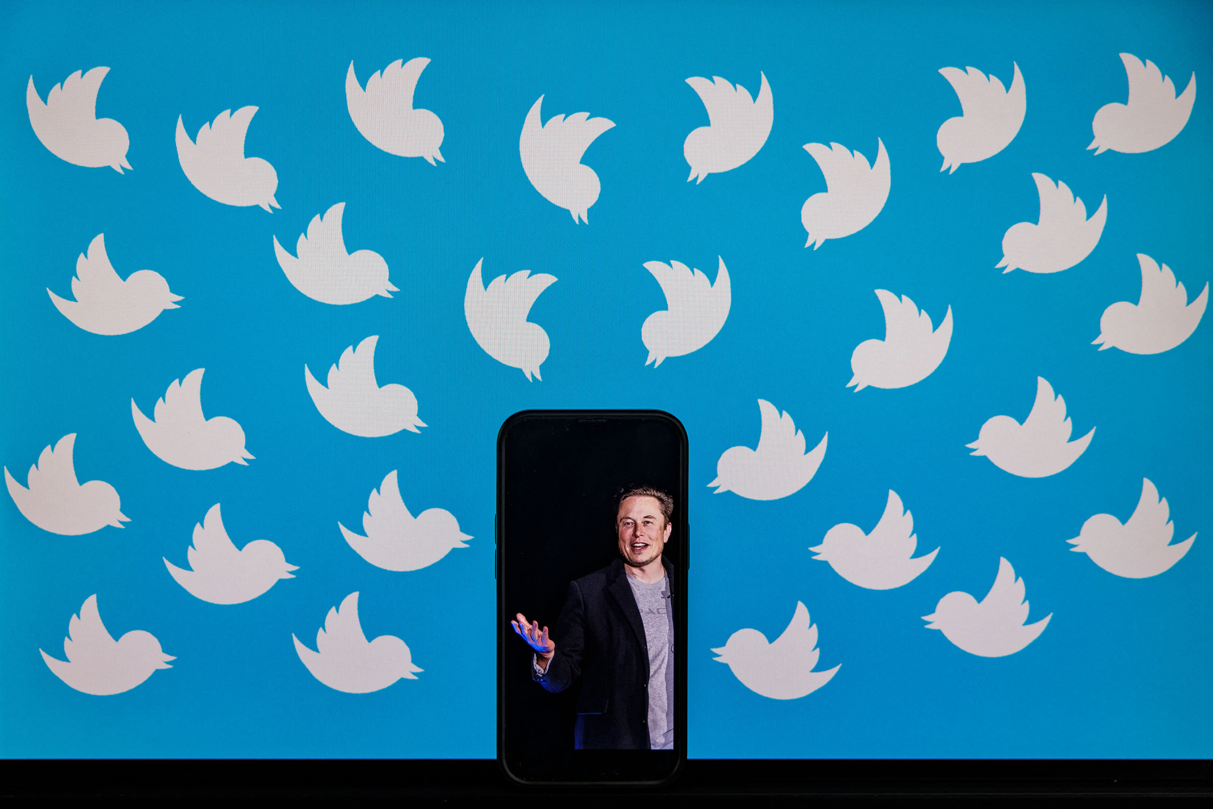 How Elon Musk's Twitter Is Harming Users With Disabilities
