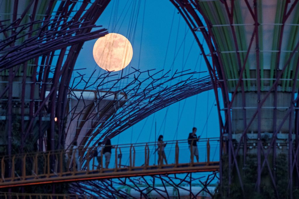 How Different Countries Celebrate the Mid-Autumn Festival
