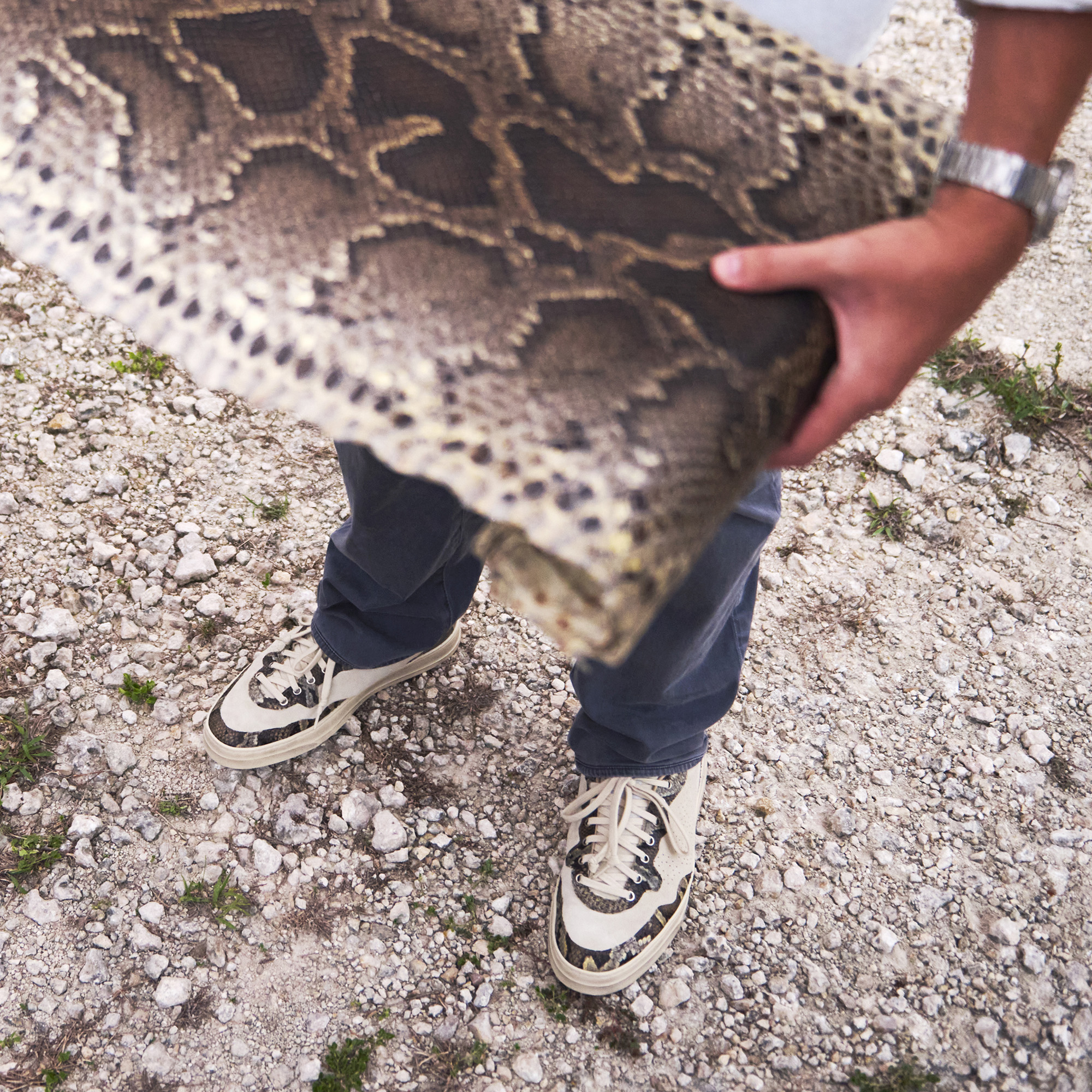 Fighting Florida's Invasive Pythons One Step at a Time