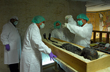 Study: Malaria, Not Murder, Killed King Tut