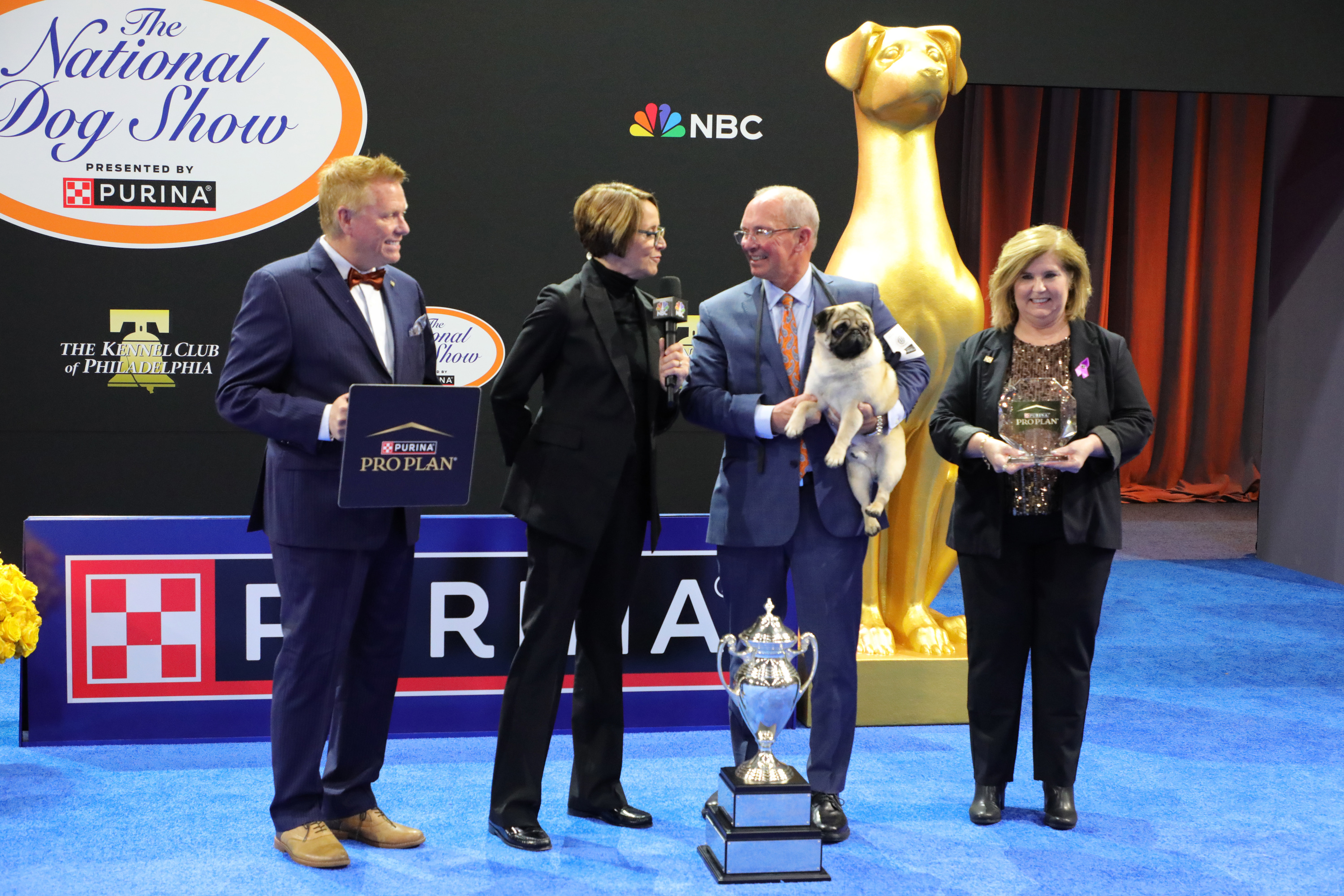 Meet Vito the Pug, Winner of the 2024 National Dog Show