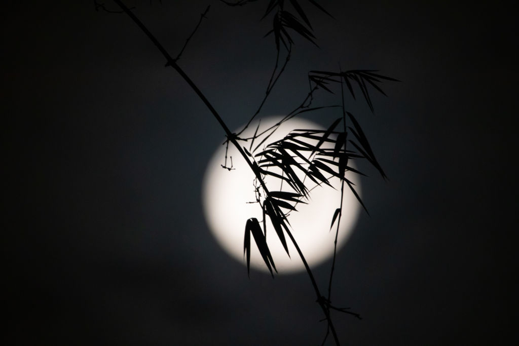 Time to Marvel at the Fourth and Final Supermoon of 2023
