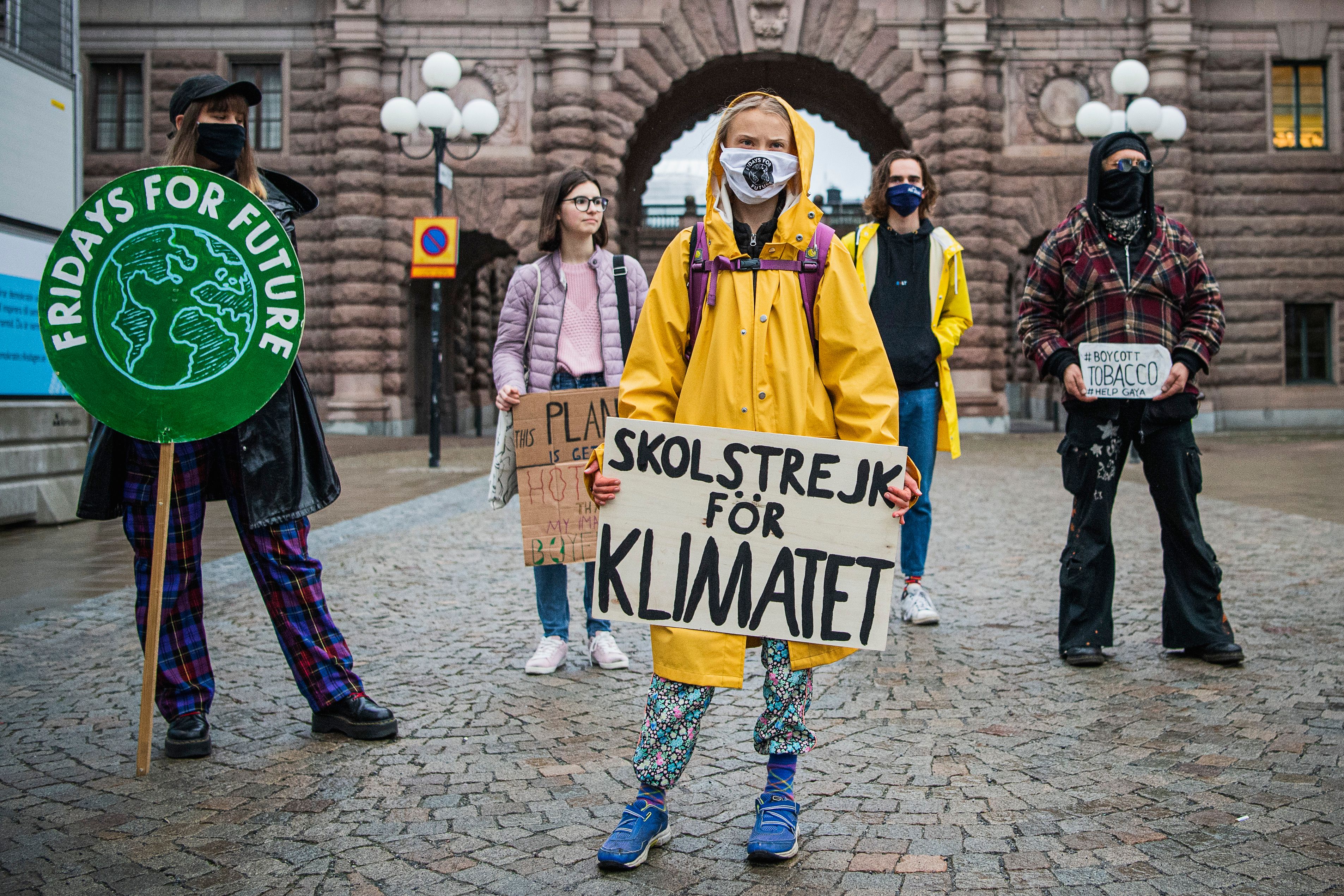 Greta Thunberg on Fighting Climate Change During COVID-19