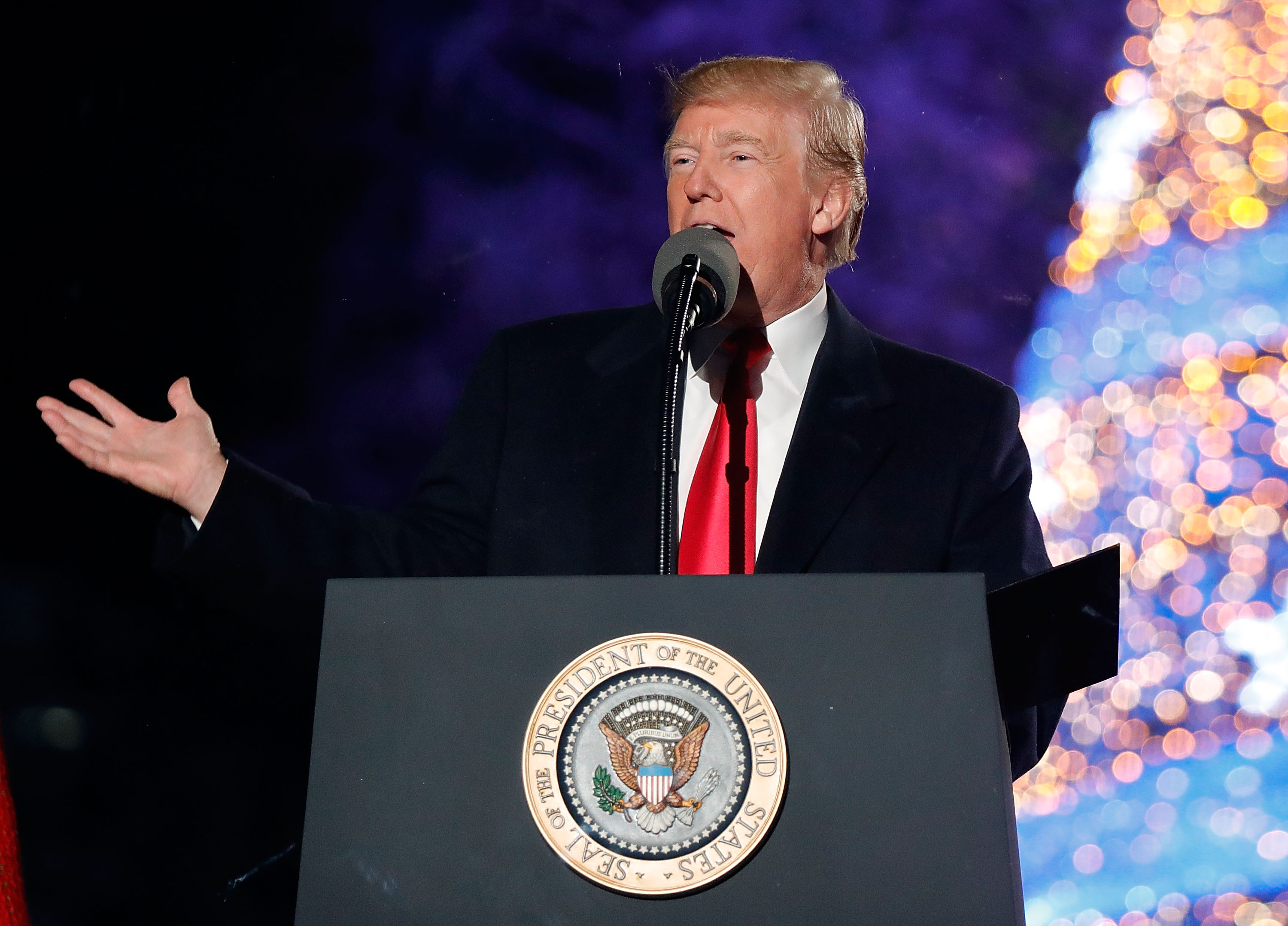 Donald Trump, Melania Trump Share Christmas Day Greeting