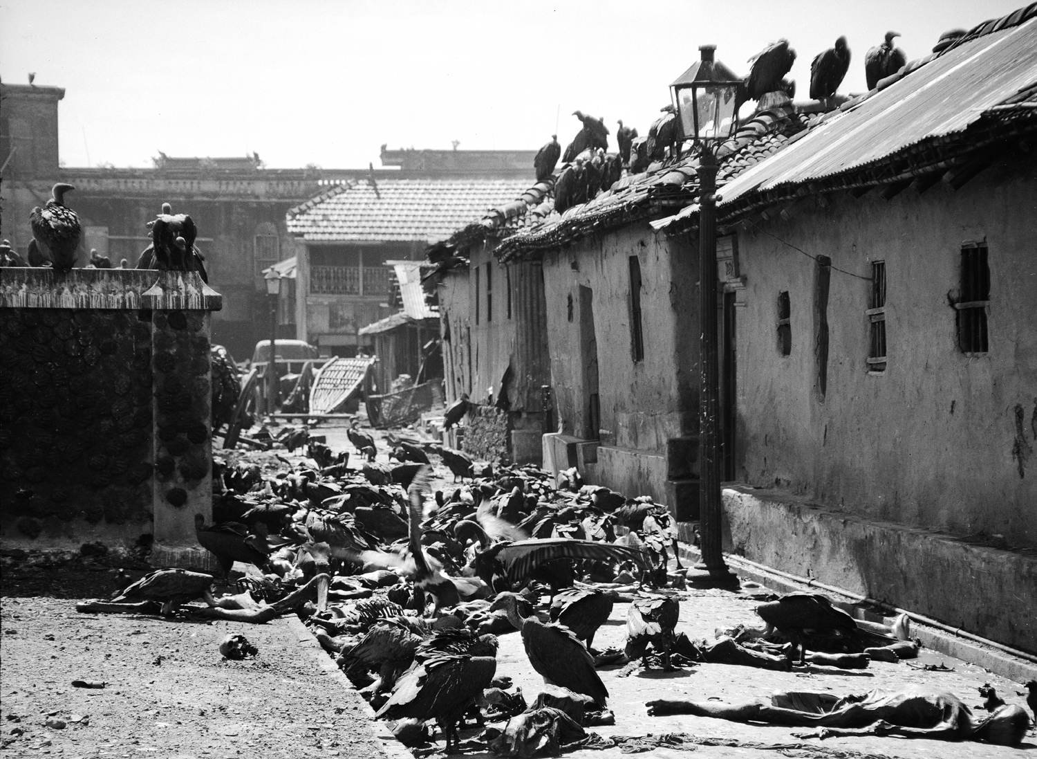 Muslim-Hindu Riots of 1946: Photos of the Gruesome Aftermath