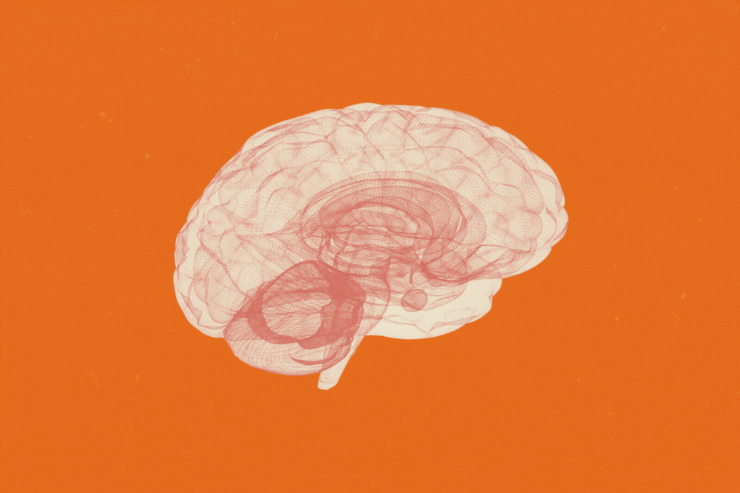 9 Things You Should Do for Your Brain Health Every Day, According to ...