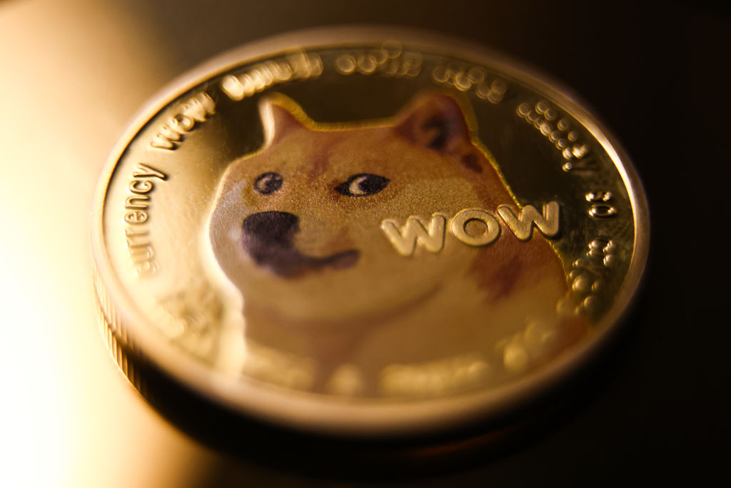 R.I.P. ‘Doge’: Viral Shiba Inu Dies