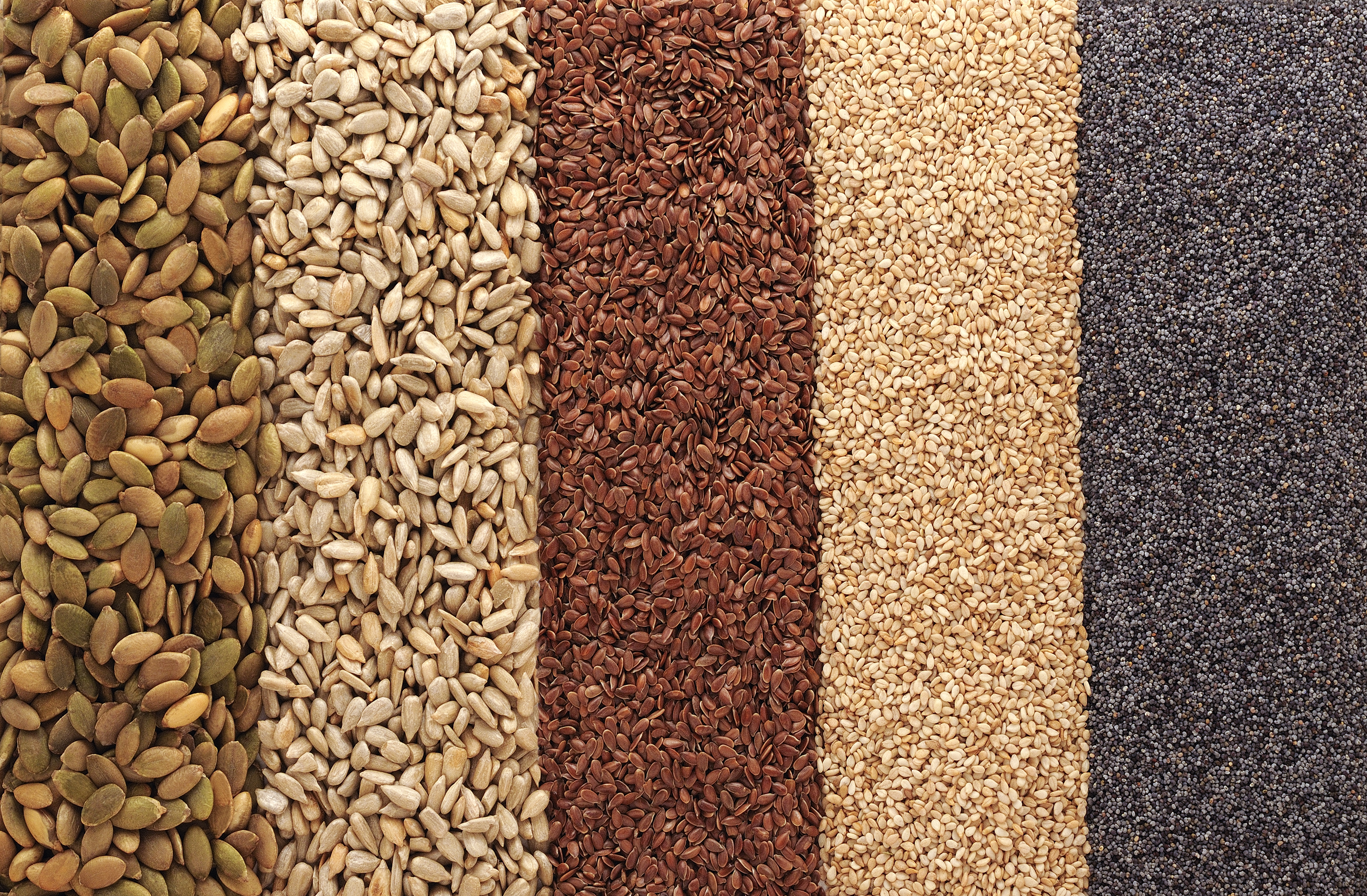 Edible Seeds: Chia, Hemp, Flax, Pumpkin, Sesame, Nigella