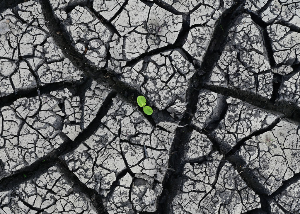 Earth Is in Critical Condition. Here's How to Change That